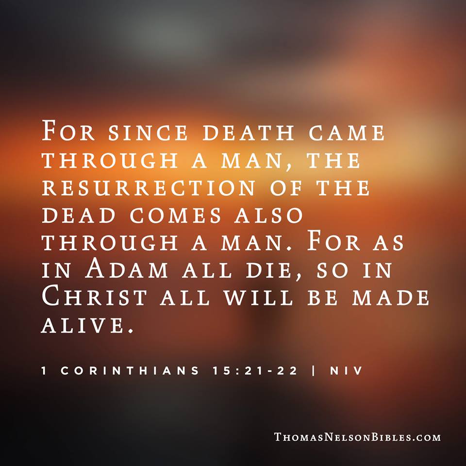 The Beautiful Wounds of Jesus - FaithGateway